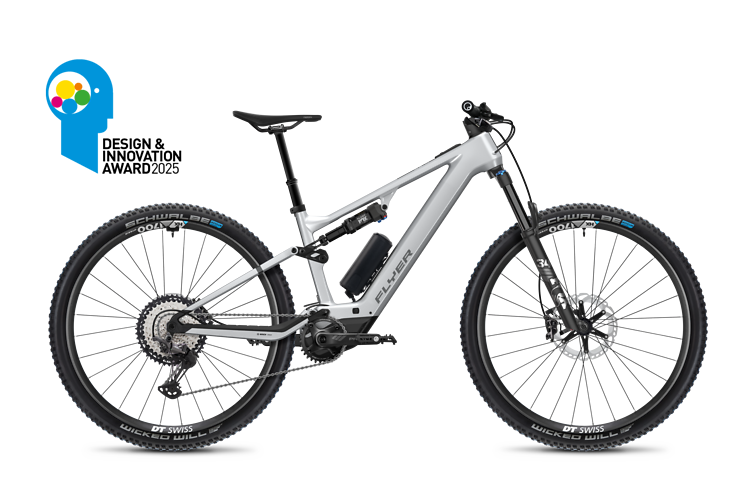 Mountain FLYER E Bikes